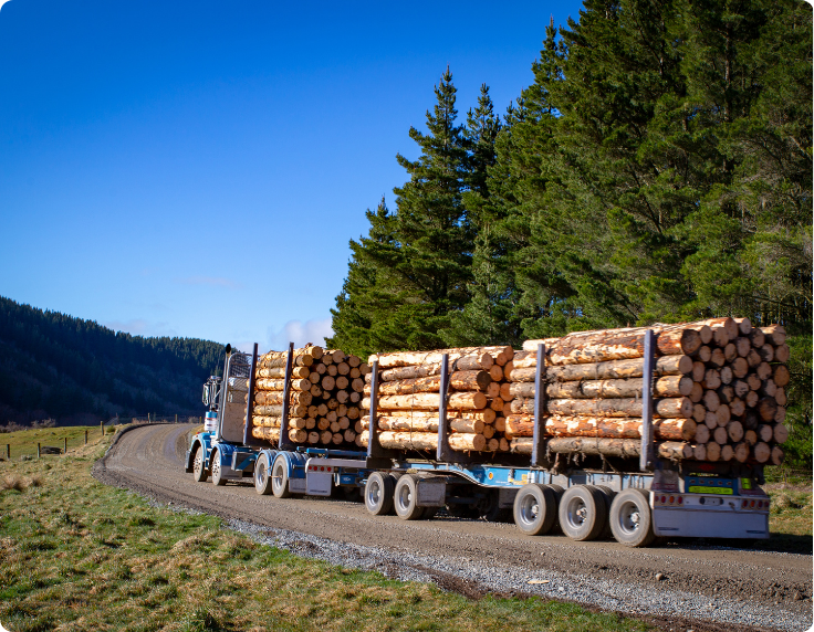 How to Ensure Compliance with NHLA Grading Rules in Shipping